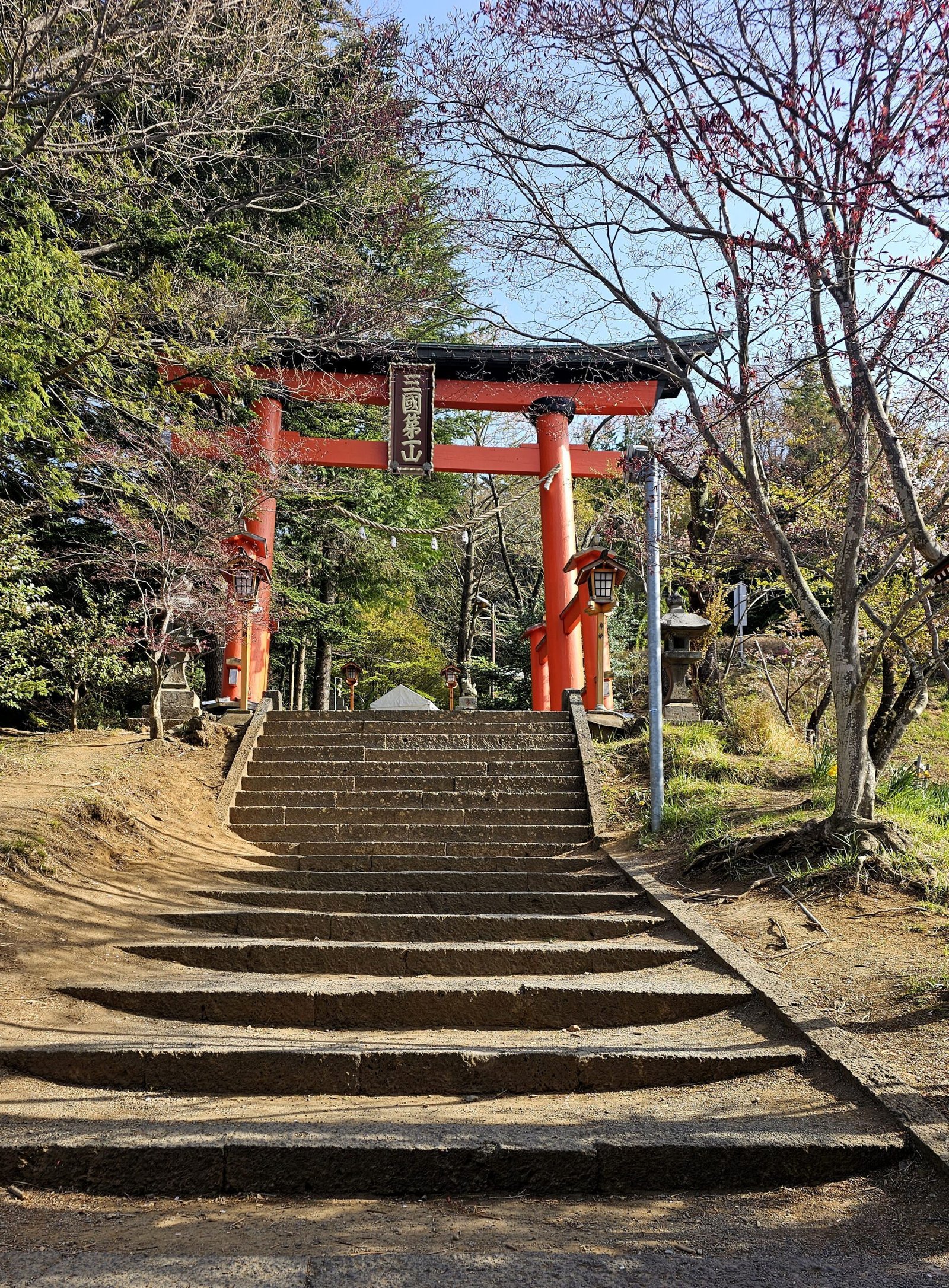 Chureito Pagoda: A Spectacular Vista of Mount Fuji and Cherry Blossoms ...