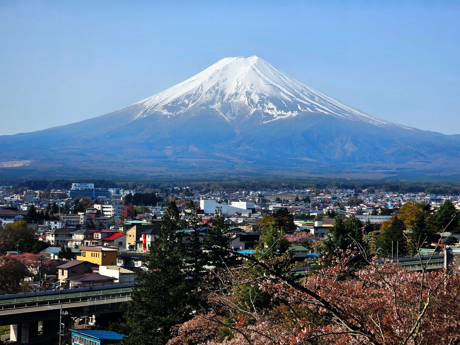 Chureito Pagoda: A Spectacular Vista of Mount Fuji and Cherry Blossoms ...