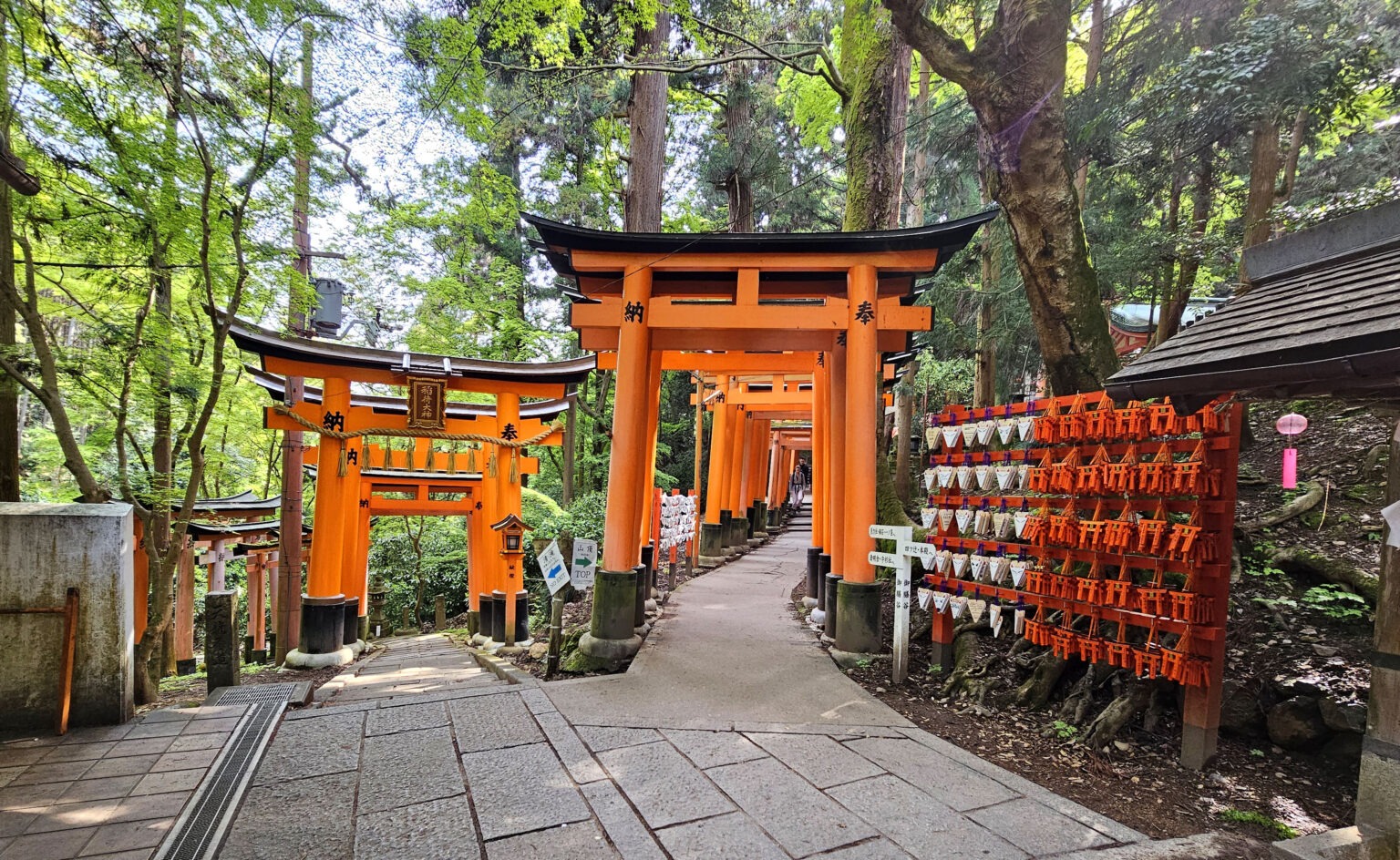 Fushimi Inari Taisha and its 10,000 torii gates - Espunis in Japan