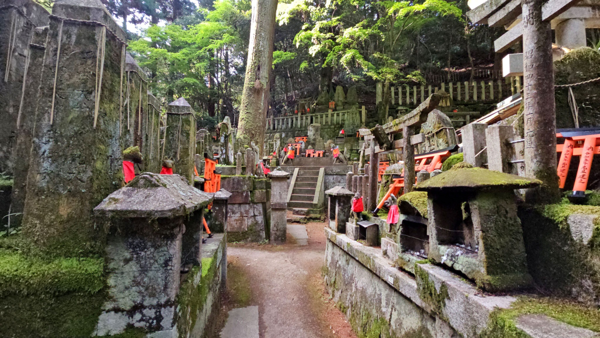 Fushimi Inari Taisha and its 10,000 torii gates - Espunis in Japan