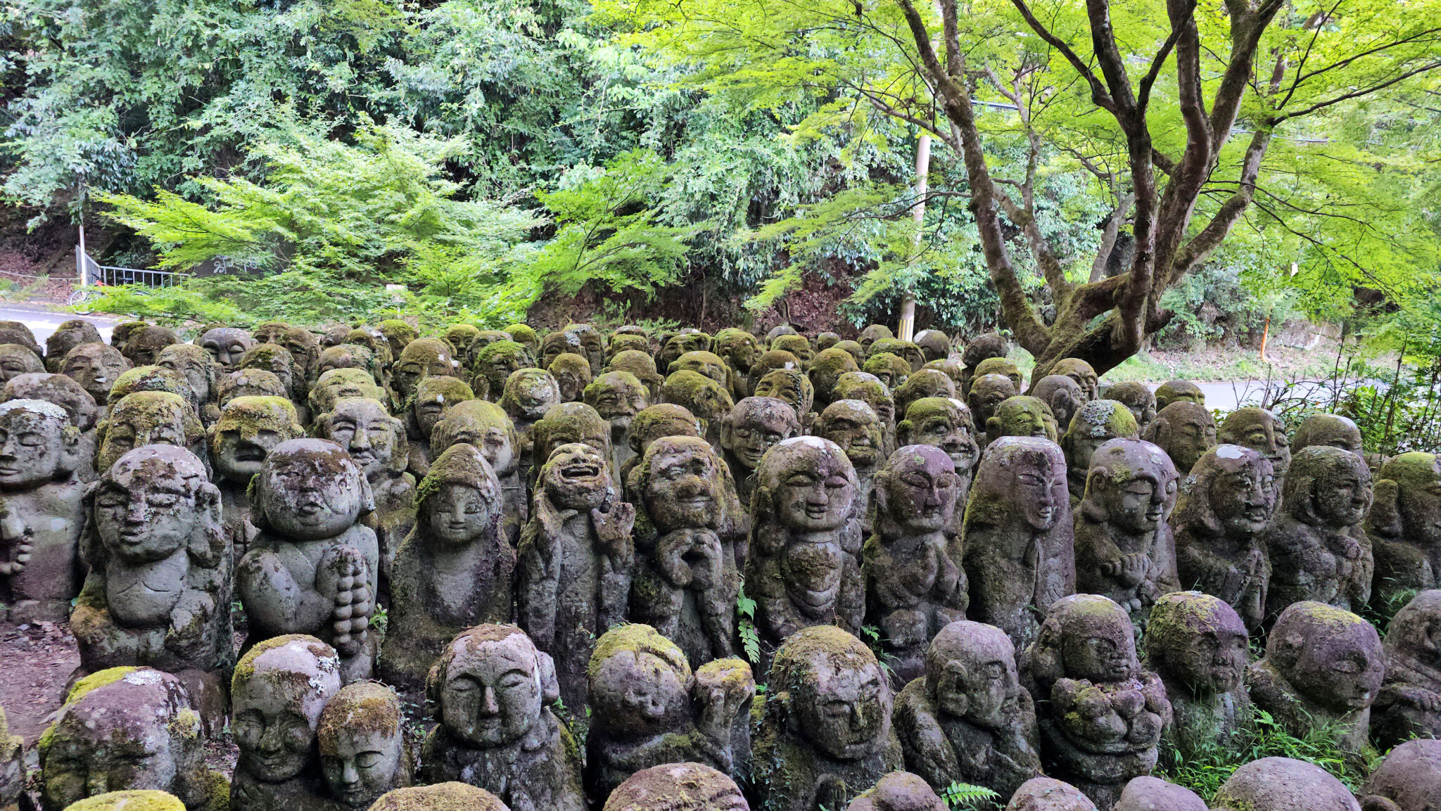 Otagi Nenbutsu-ji: Arashiyama's Best-Kept Secret - Espunis in Japan