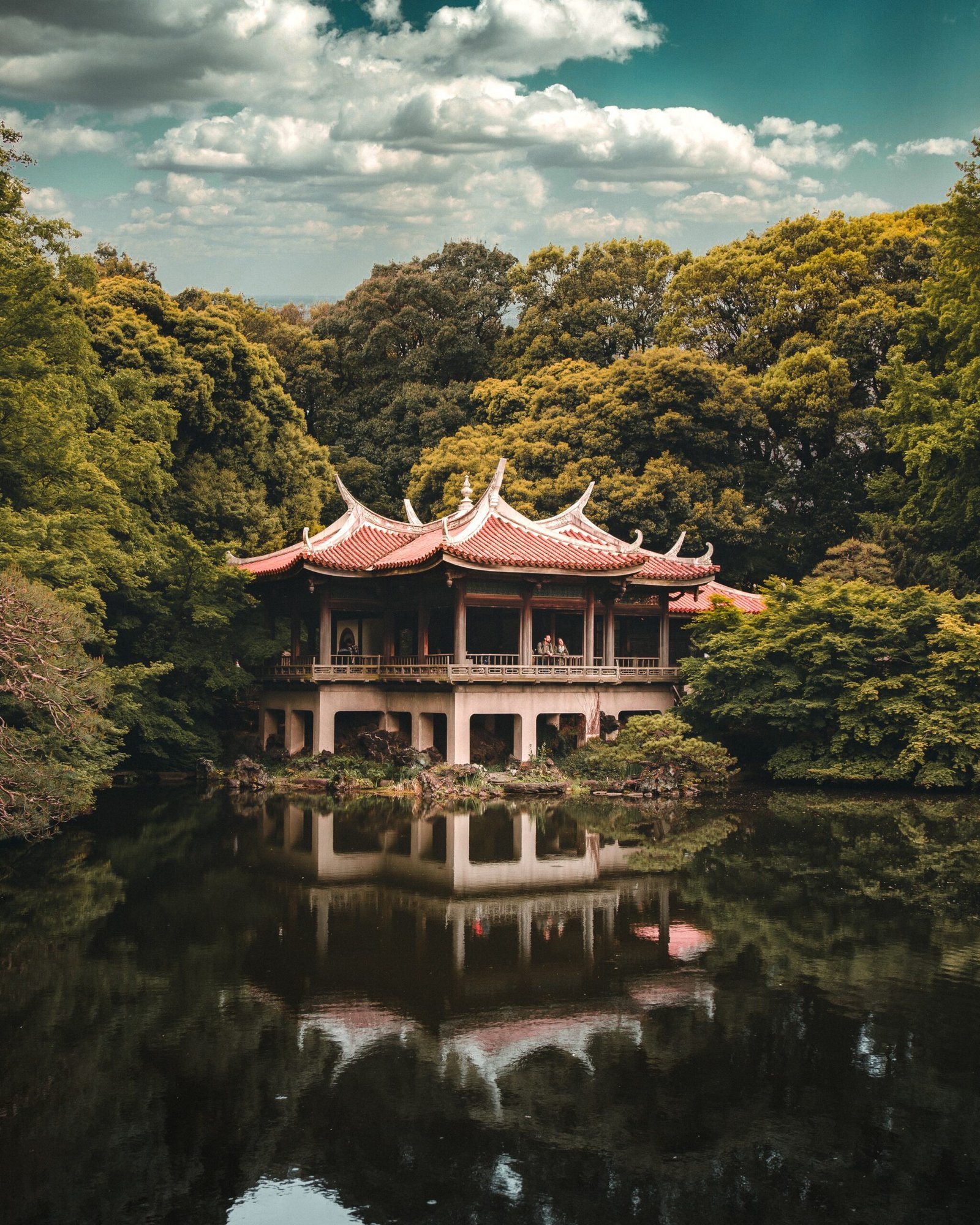 Shinjuku: qué ver y hacer en el barrio del ocio de Tokio - Espunis in Japan
