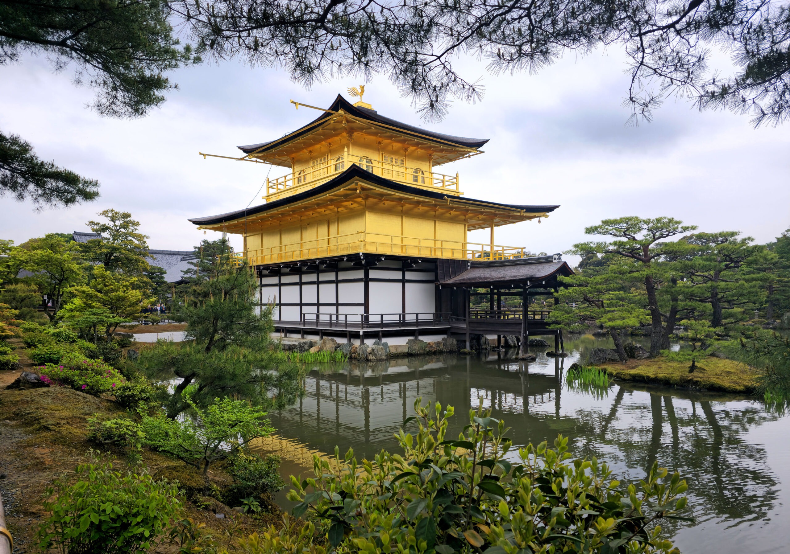 Kinkakuji Temple: Kyoto's Golden Pavilion - Espunis in Japan
