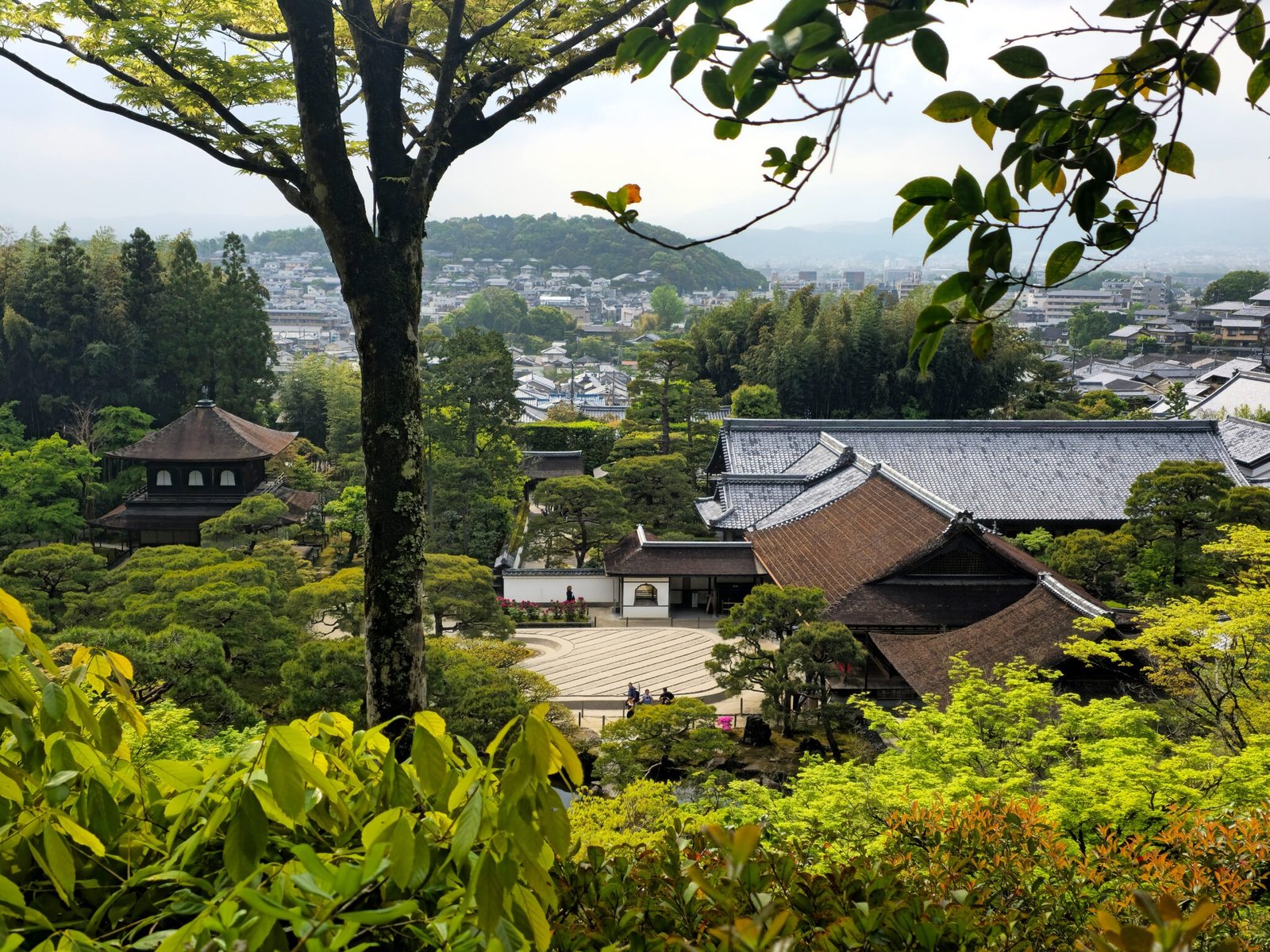 Kyoto itinerary: A 7-Day Travel Guide - Espunis in Japan