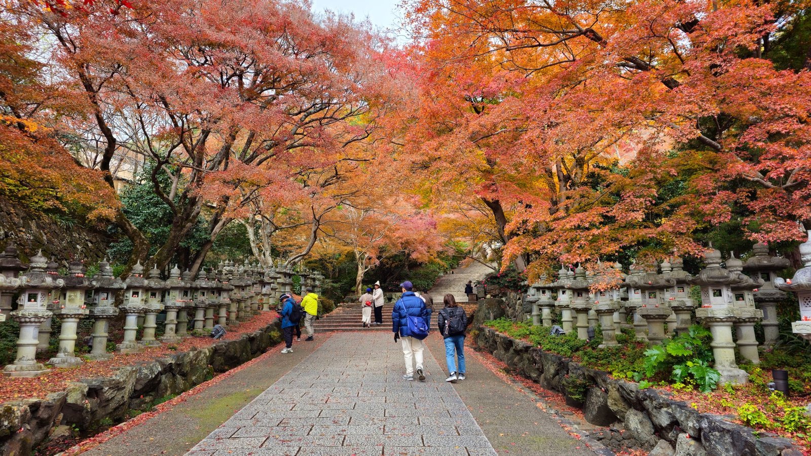 Katsuoji: un templo lleno de darumas en Osaka - Espunis in Japan